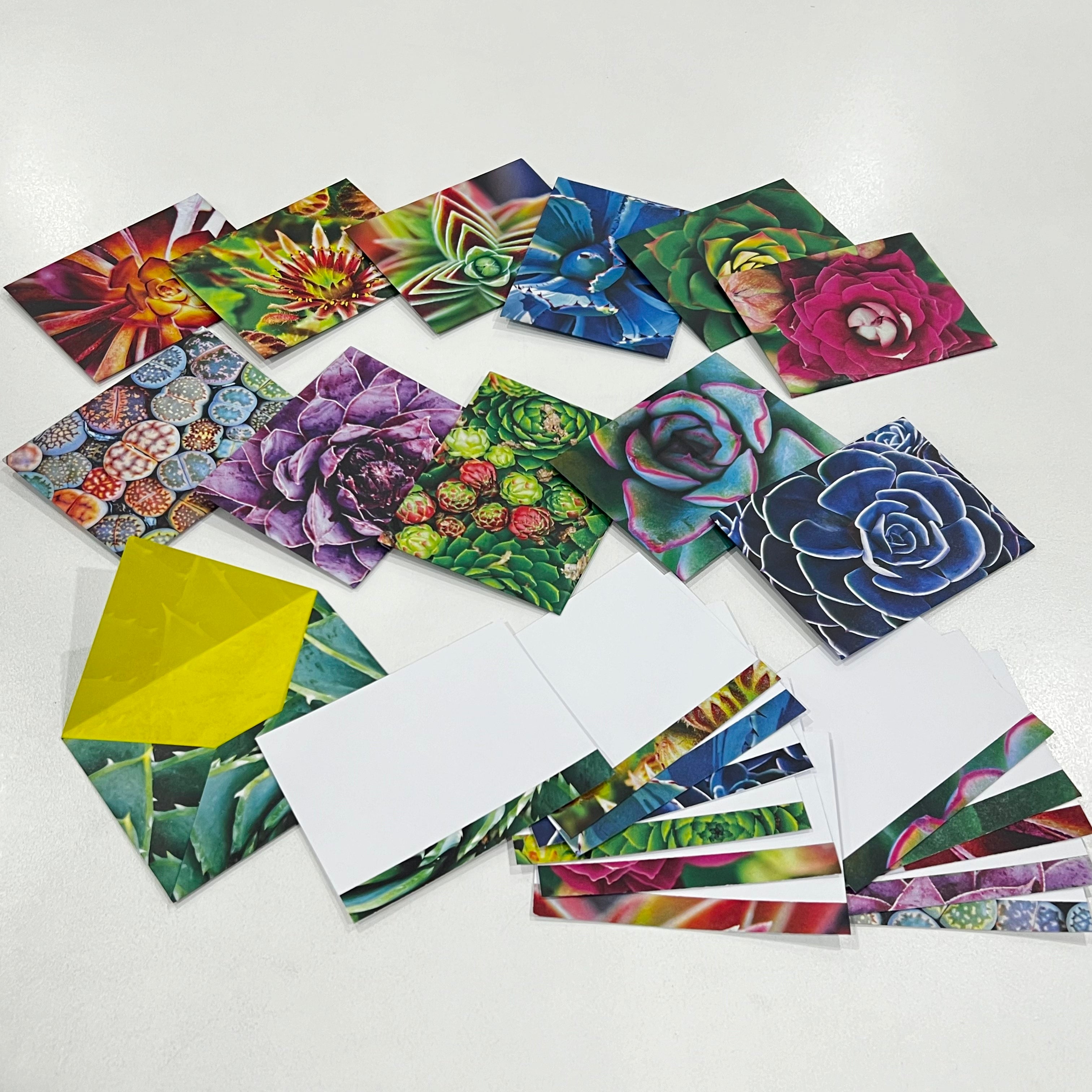 Succulents - Small Origami Envelopes (optional Inserts) - Gift Cards ...